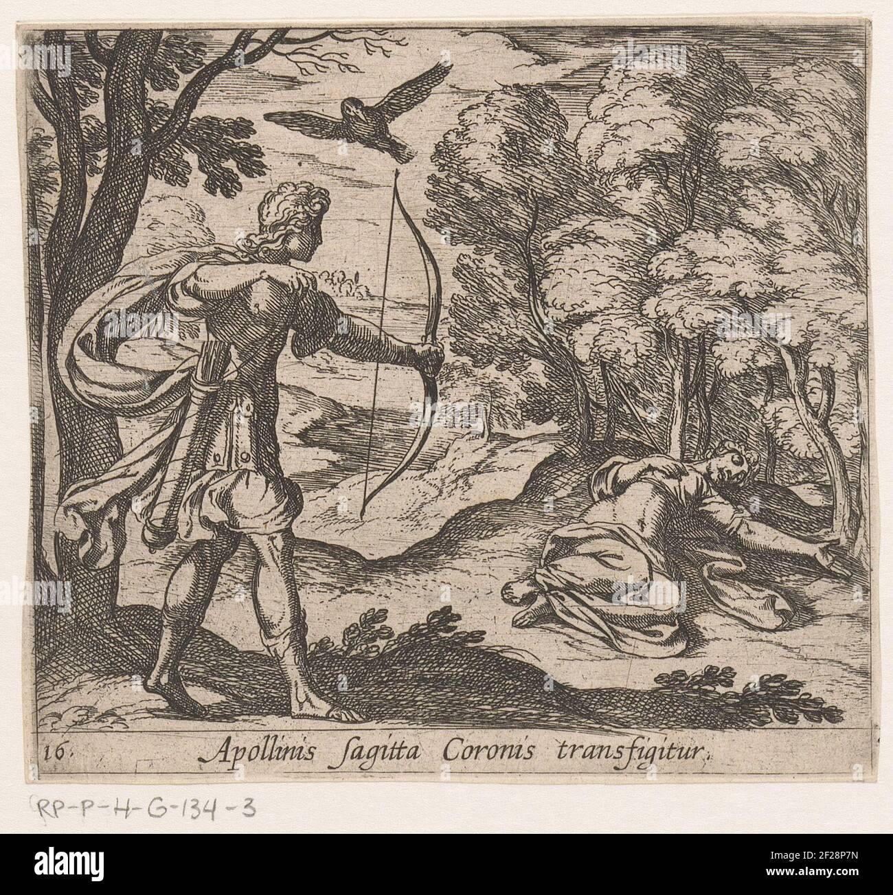 Apollo kills Coronis; Apollinis Sagitta Coronis Transfigitur ...