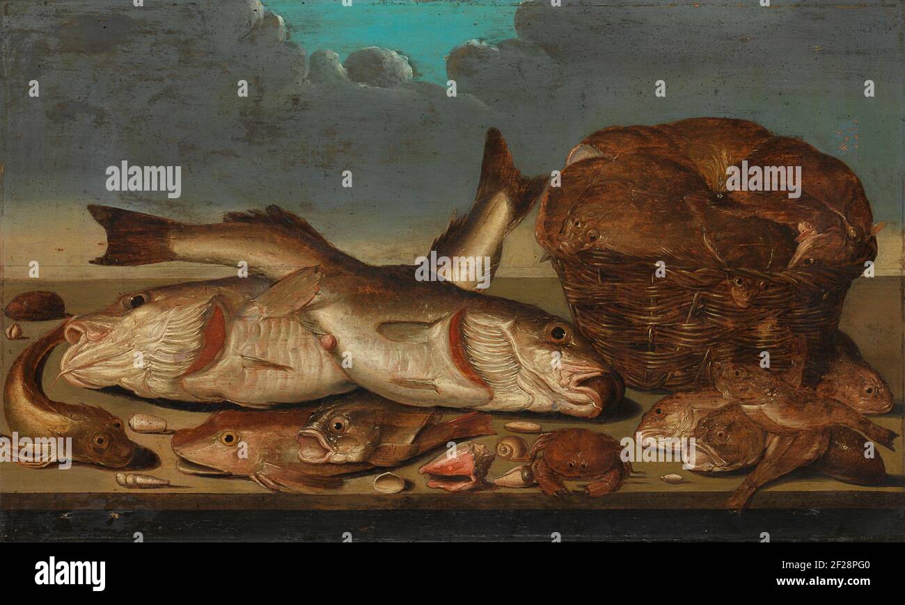 Still Life with Fish.Fish still life. Different types of fish, shells ...