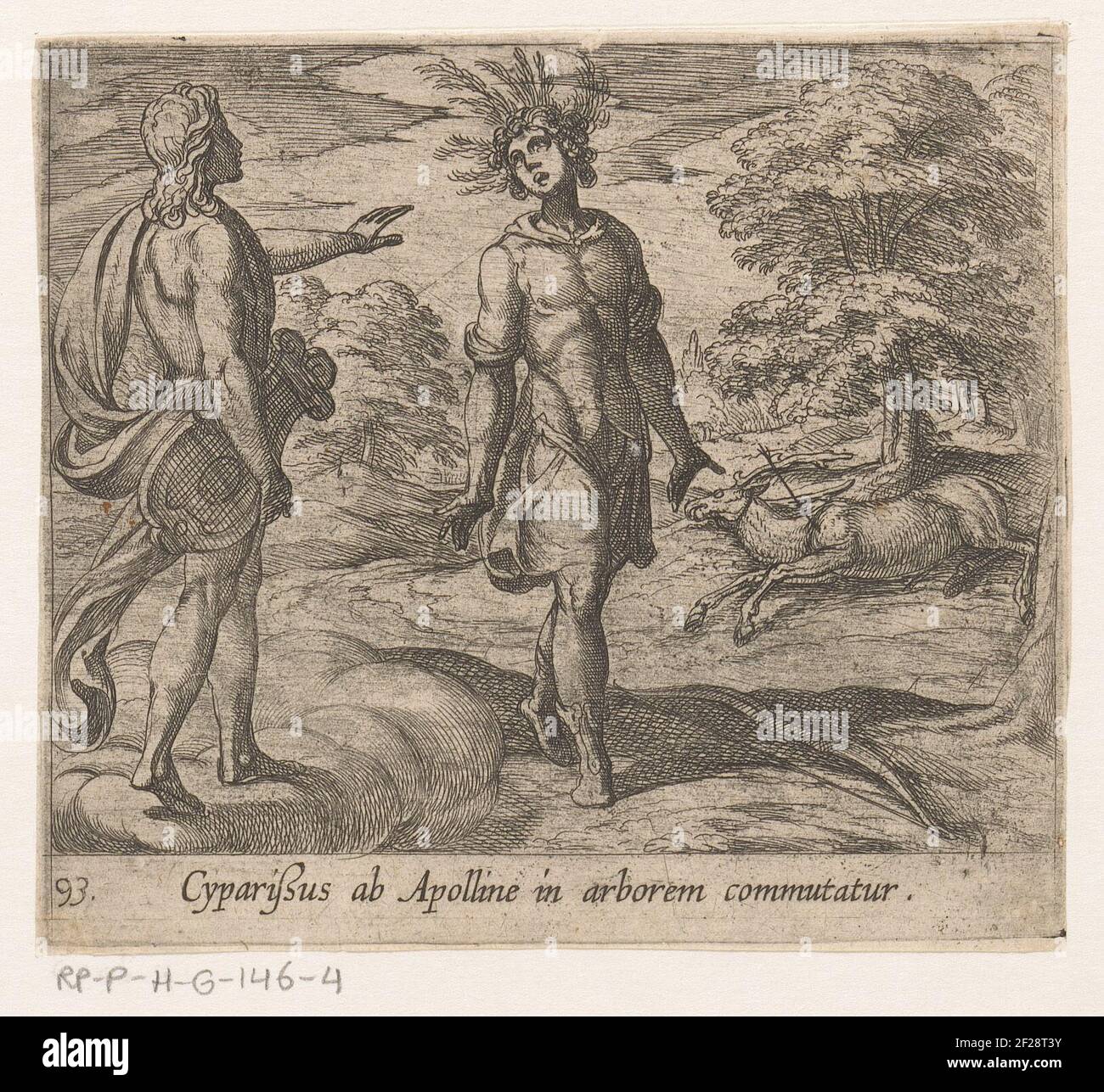 Cyparissus in cipres been veranderd; Cyparissus is changed by Apollo ...