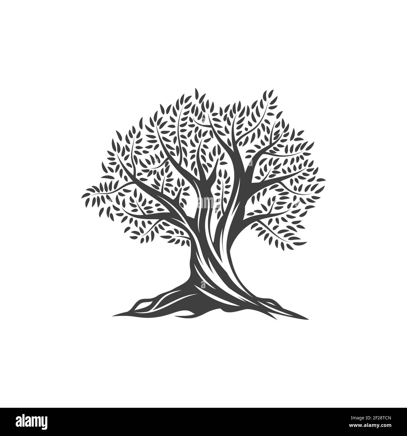 Olive tree icon, olives, leaves and branches in vector flat line. Olive ...