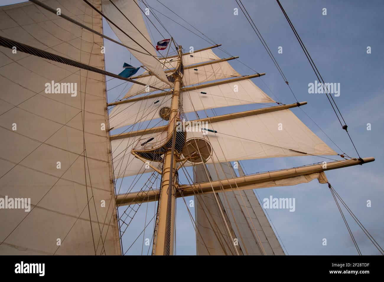 Star Clipper sailing cruise ship, Thailand Stock Photo - Alamy