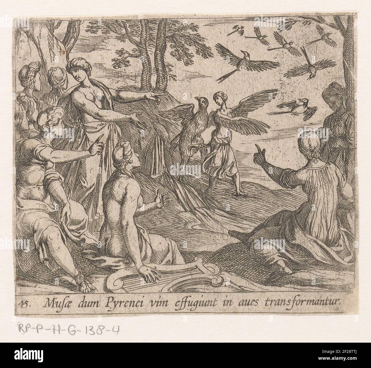 Metamorphosis of the pierides; Musae dum pyrenei vin essugiunt in aves ...
