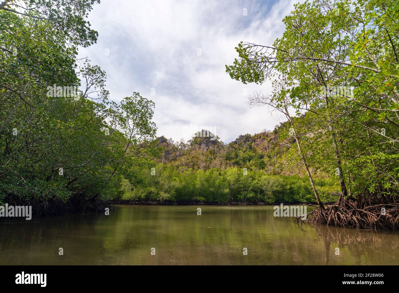 Kilim Geoforest Park, Langkawi, Malaysia Stock Photo - Alamy