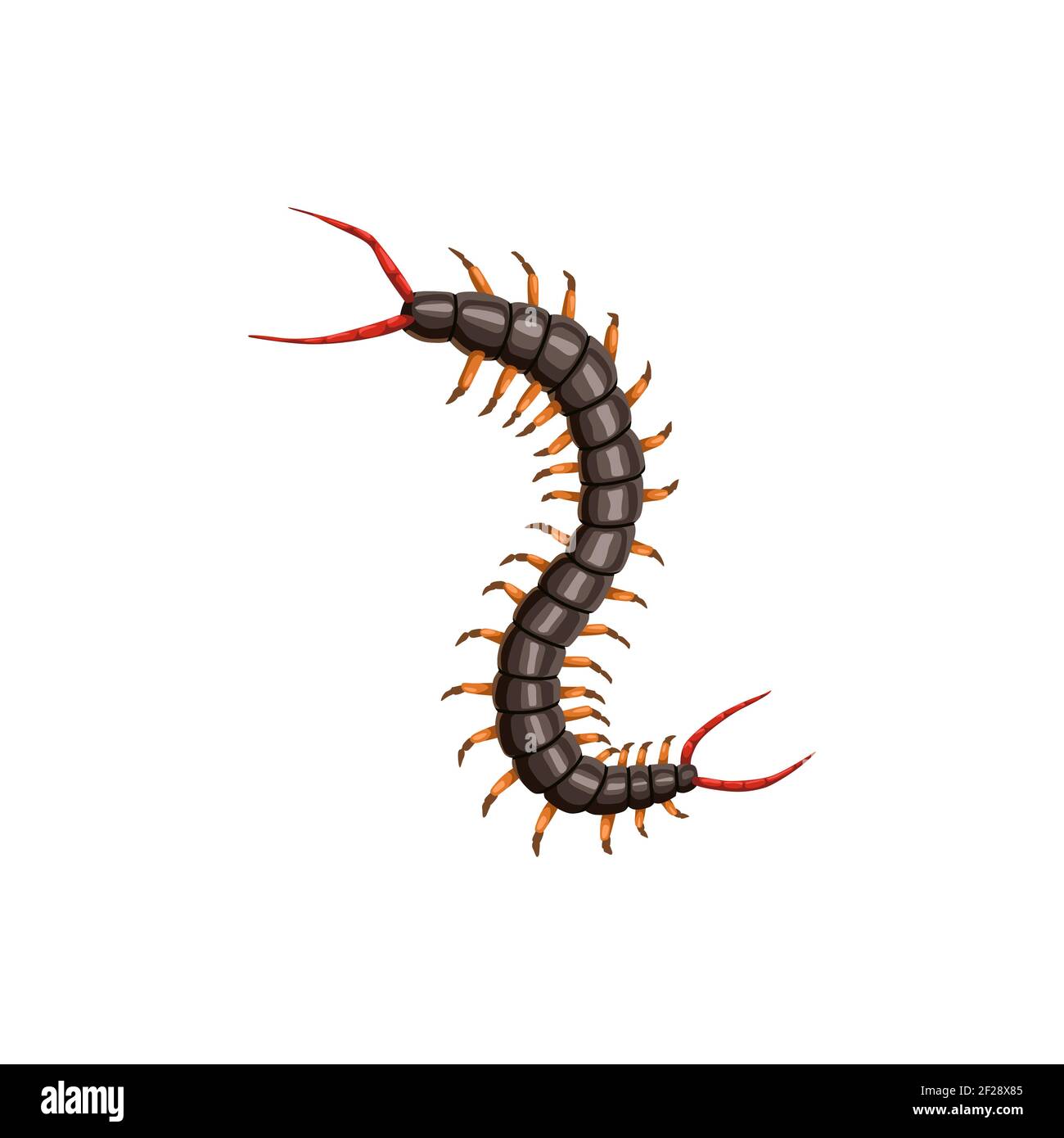 Centipede icon, pest control insects disinsection and extermination ...