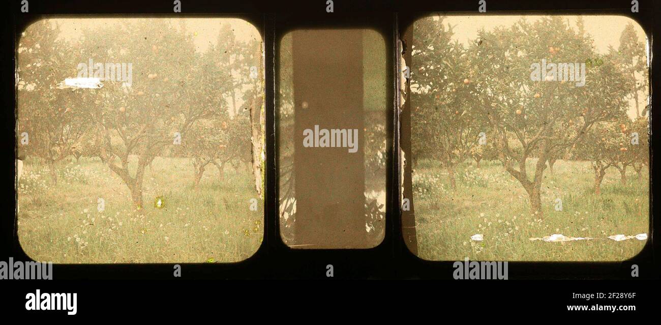 Stereofoto hi-res stock photography and images - Alamy