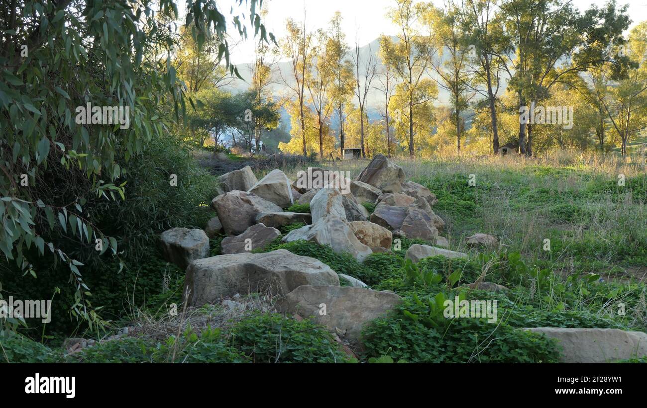 Overgrown concrete slabs and rocks dumped in rural Andalusian ...