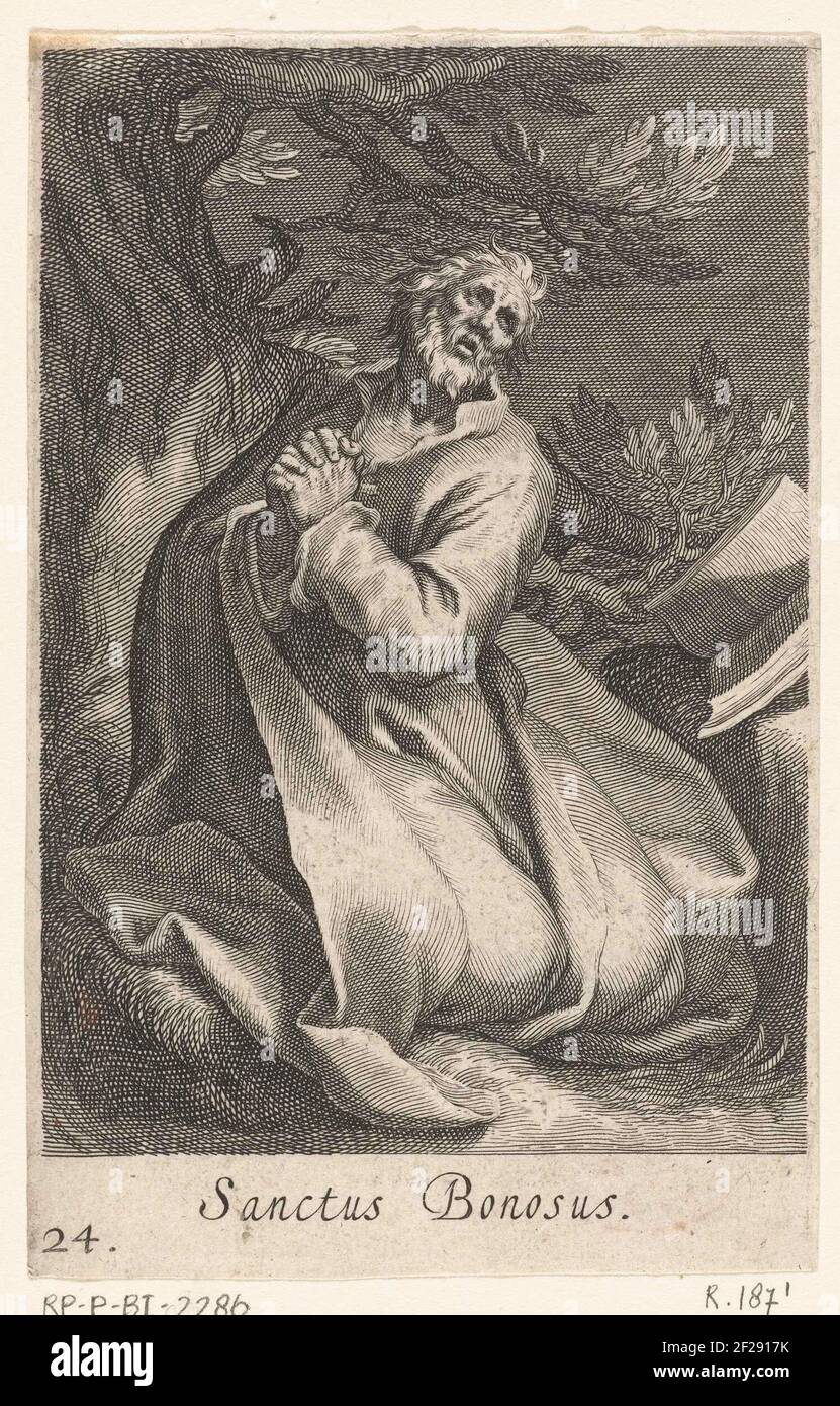 Hermit sanctus bonosus hi-res stock photography and images - Alamy