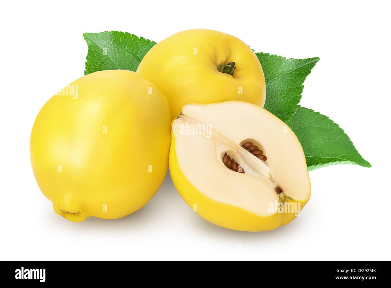 Fresh quince with half isolated on the white background with clipping ...