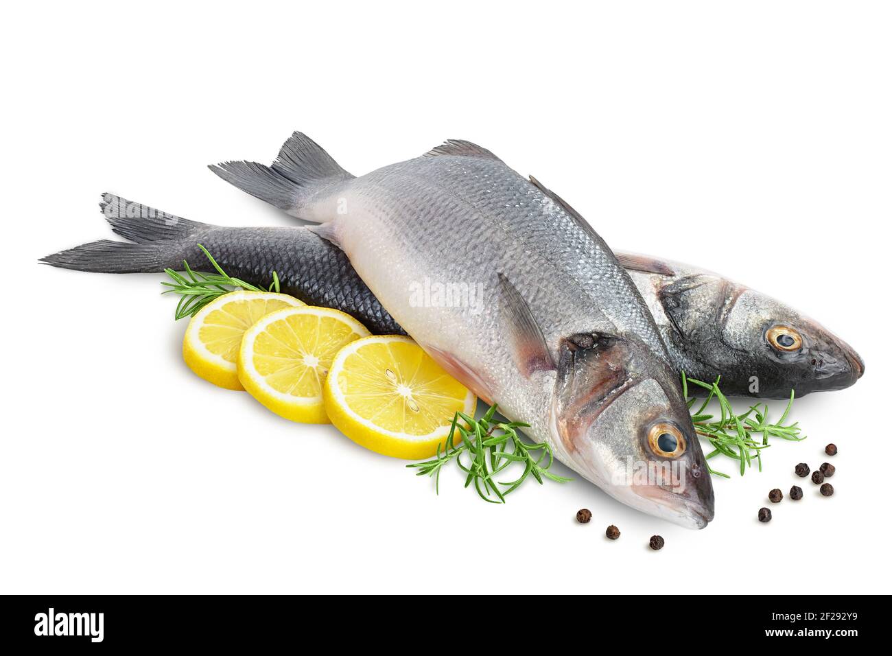 Sea bass fich isolated on white background with clipping path and full ...
