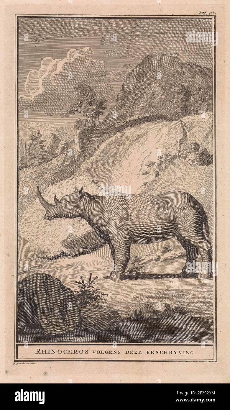 Landscape with rhino; Rhinoceros according to this damagement ...