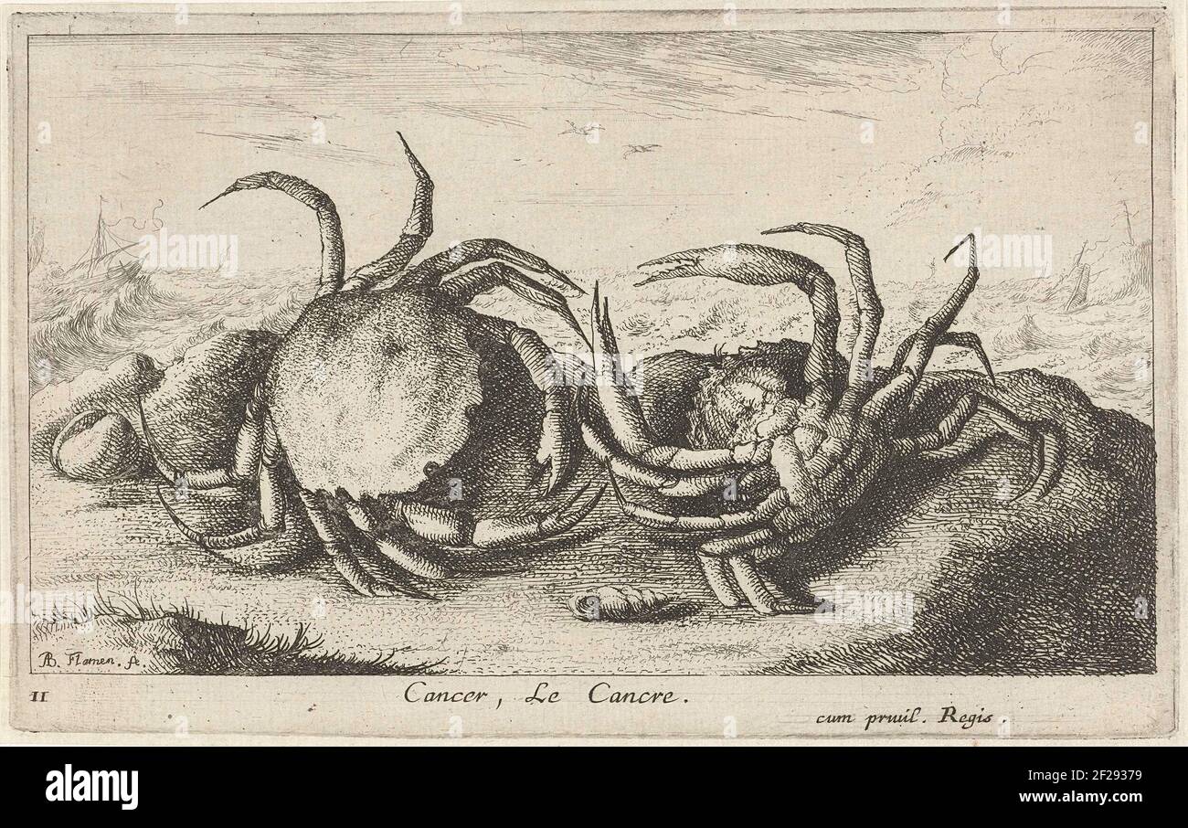 Two crabs on the beach; Cancer, Le Cancre; Fish and other marine ...