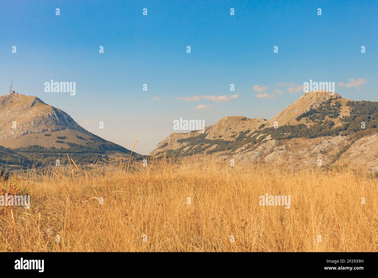 Close up view to spikelet. mountains landscape Mediterranean Stock Photo - Alamy