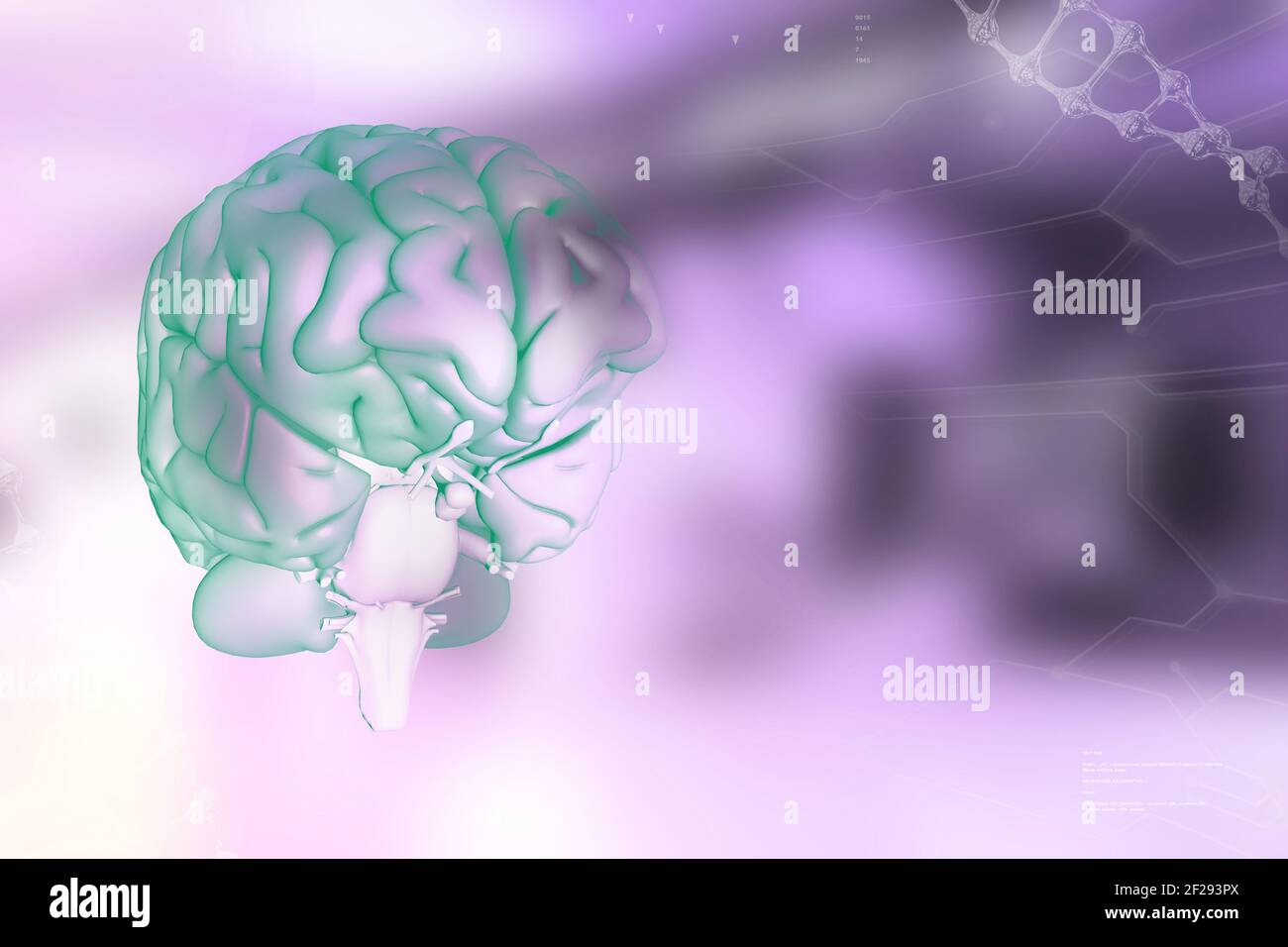 Human brain, physiology research concept - detailed hi-tech background ...