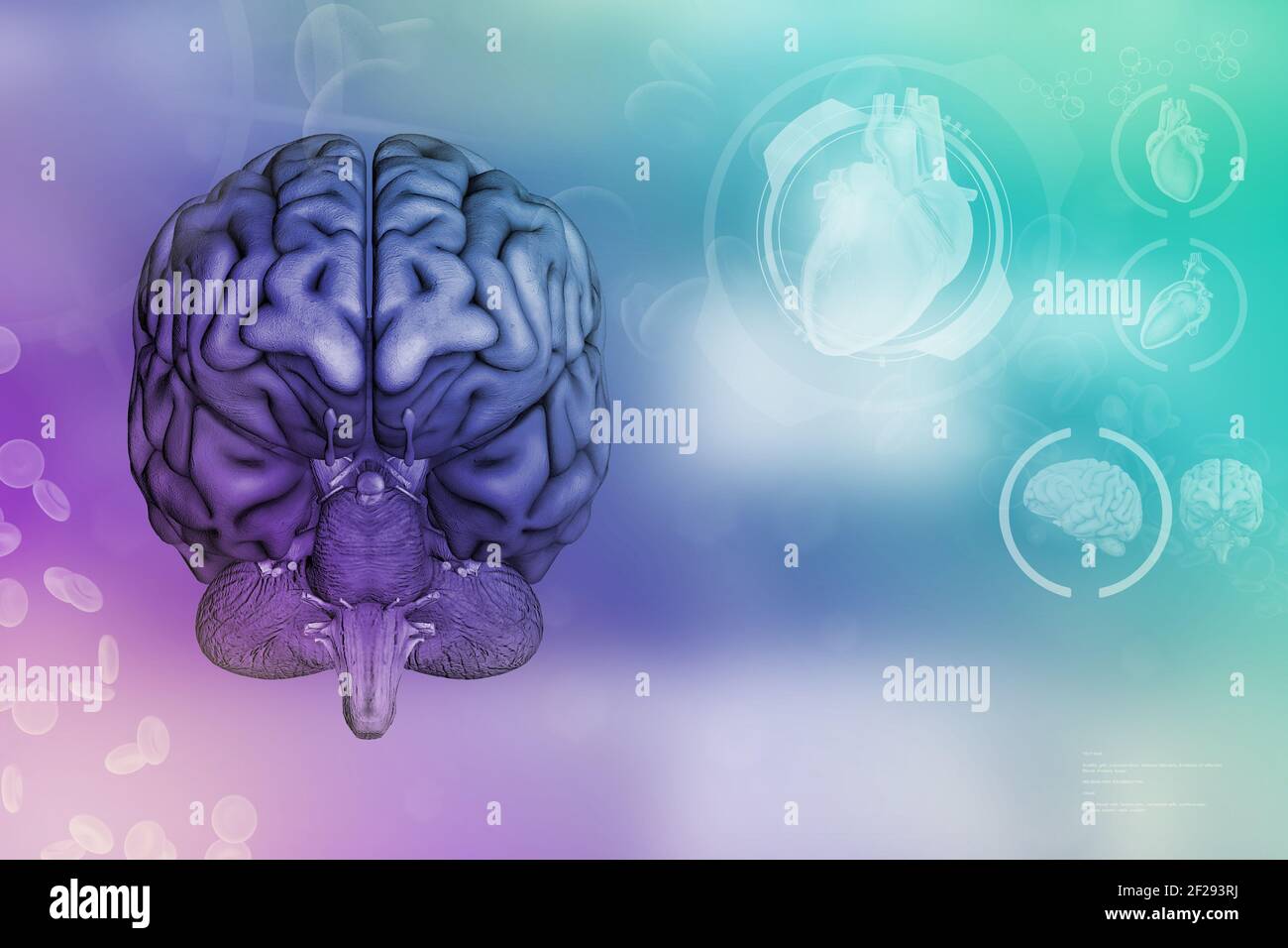 Medical 3D illustration - human brain, brain analysis concept ...