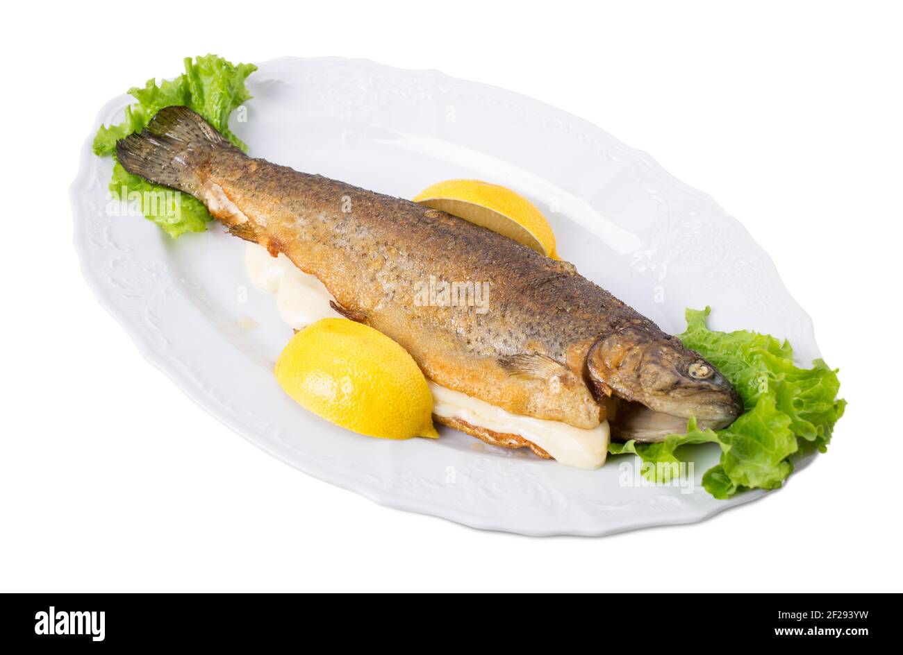 Isolated stuffed trout fish hi-res stock photography and images - Alamy