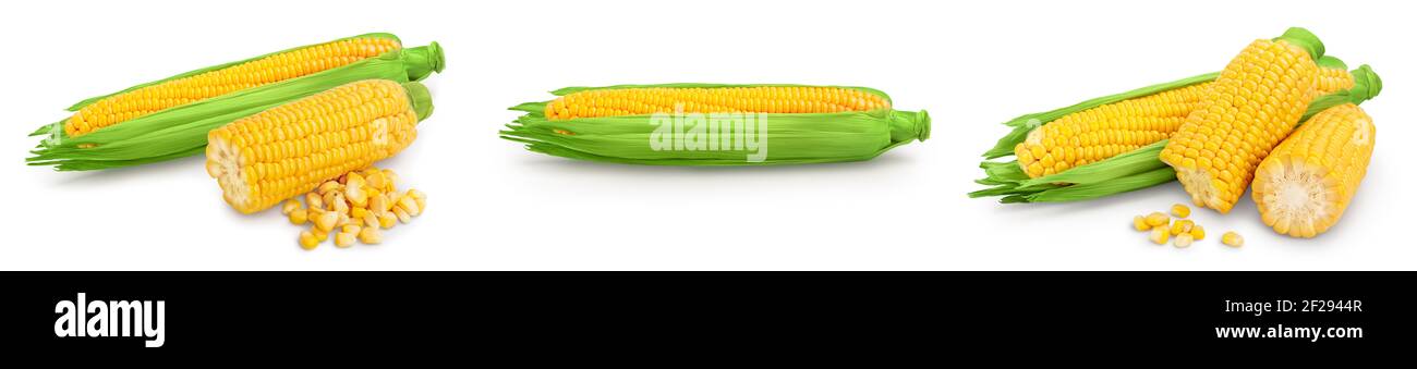 ear of corn isolated on a white background. Clipping path and full ...