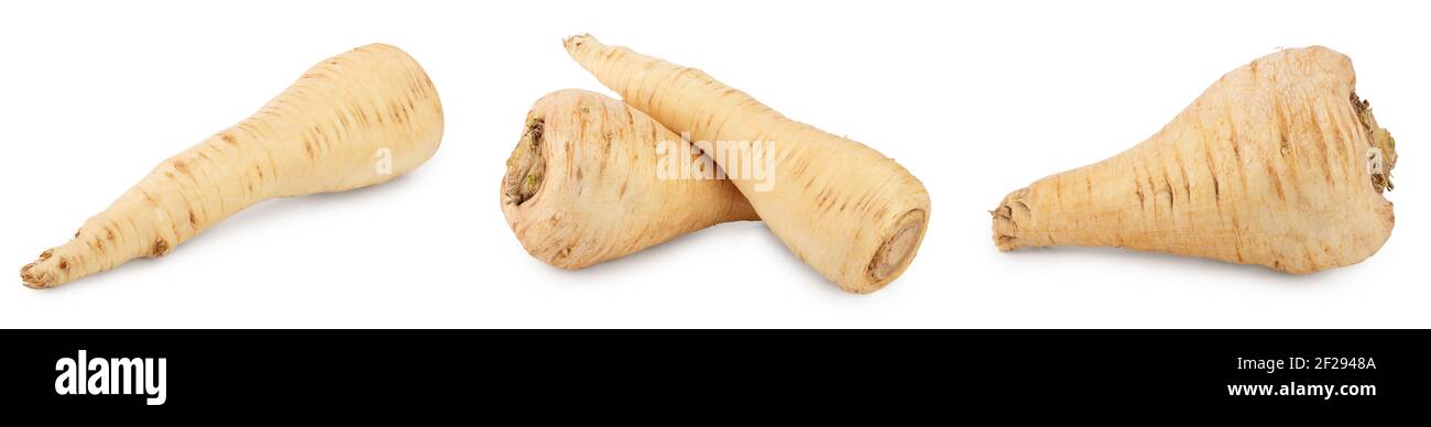 Parsnip root and slices with parsley isolated on white background ...