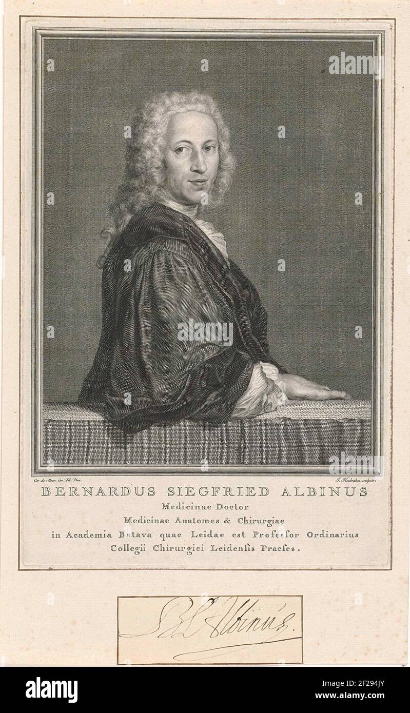 Bernardus siegfried albinus hi-res stock photography and images - Alamy