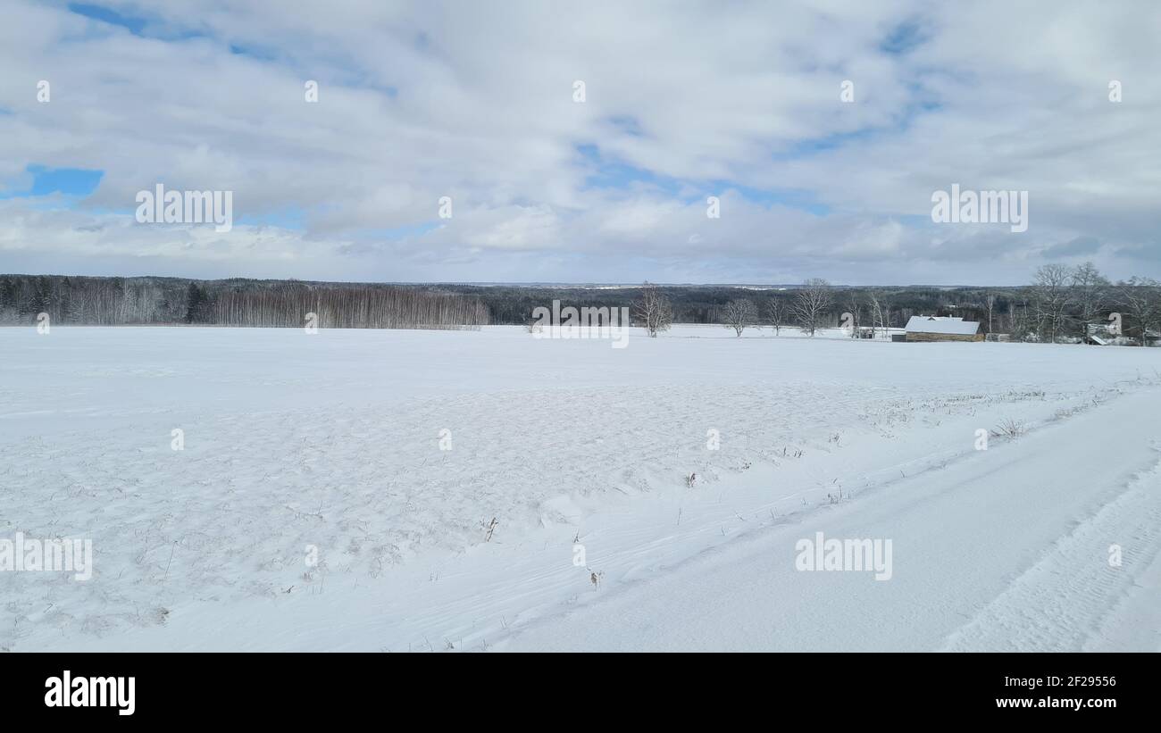 Snowy planted field with green grass shoots on farm buildings on ...