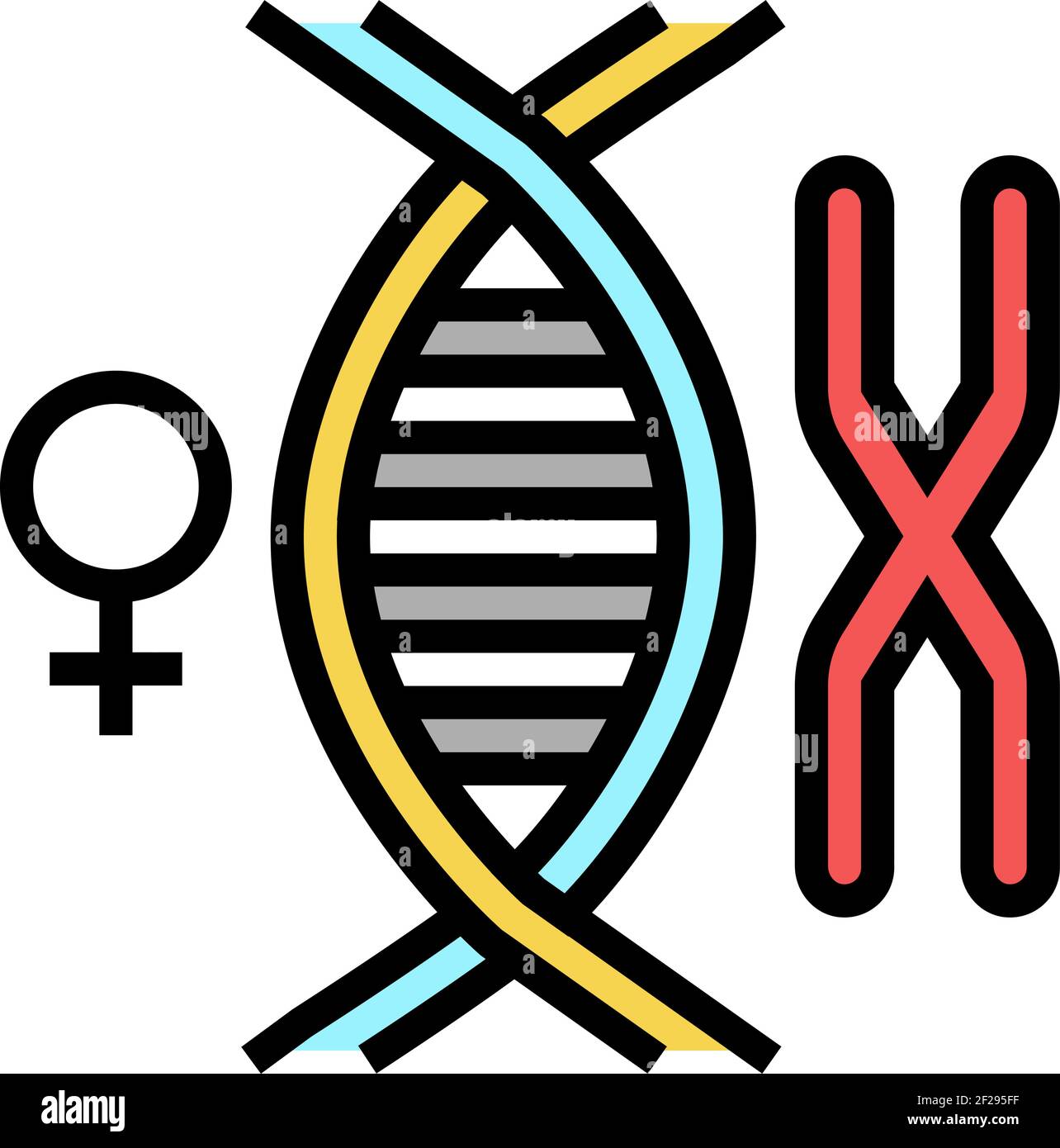 Female Chromosome Genetic Color Icon Vector Illustration Stock Vector