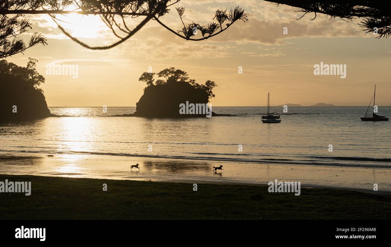 Lifestyle silhouette hi-res stock photography and images - Alamy