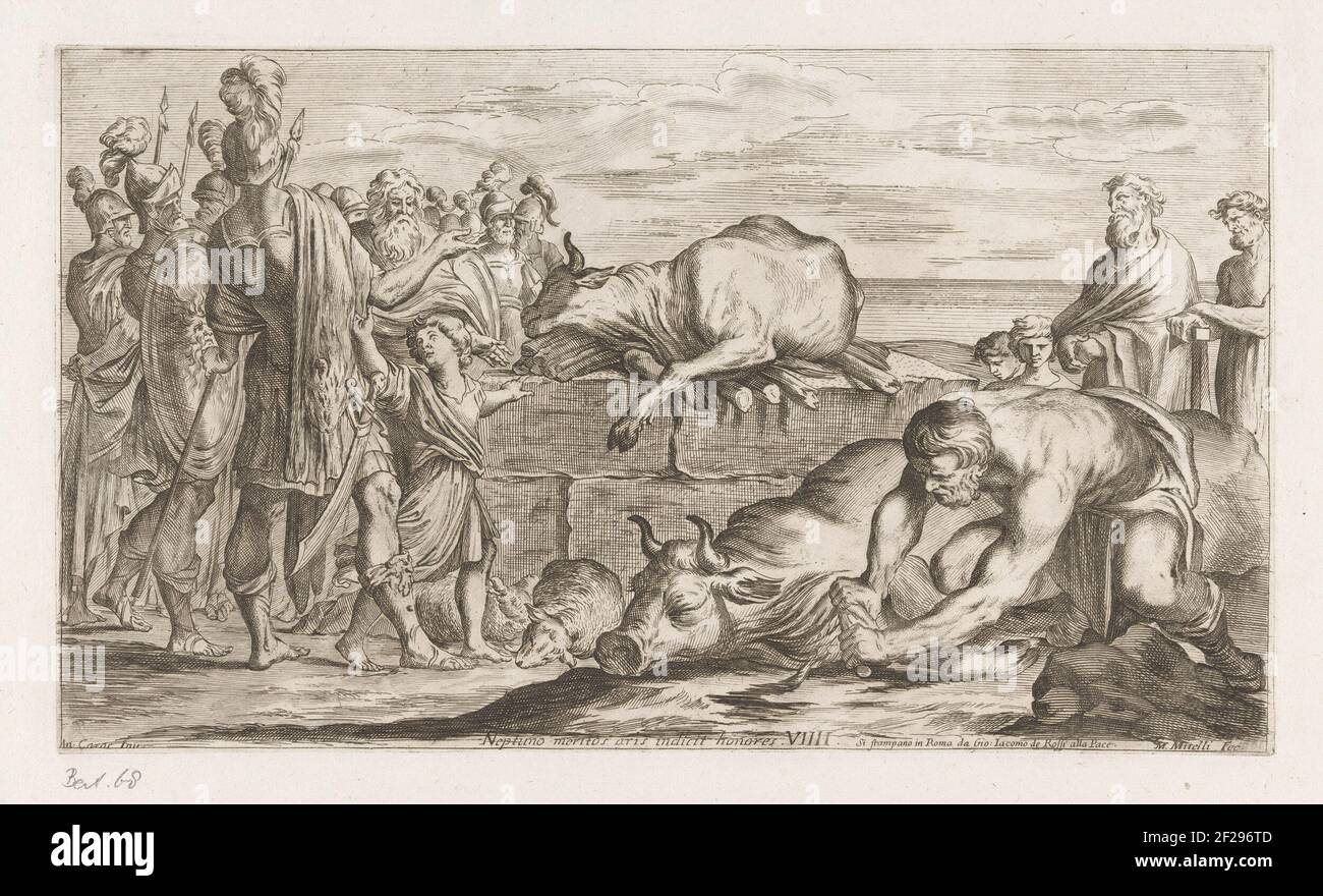 Neptune sheep hi-res stock photography and images - Alamy