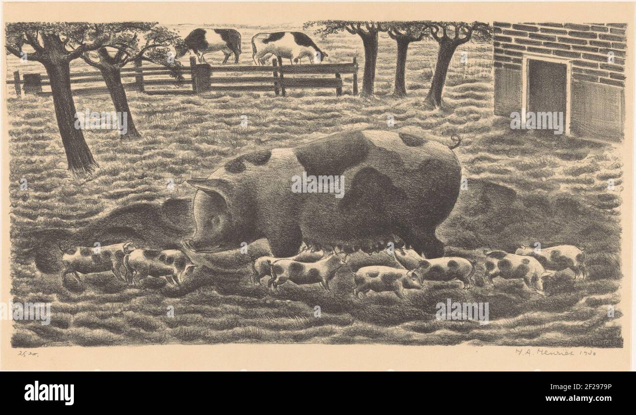 Sow with eight hi-res stock photography and images - Alamy