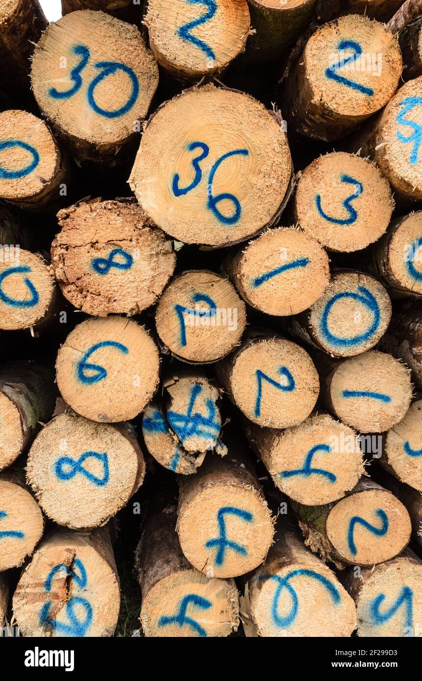 Germany German Cross Section High Resolution Stock Photography and ...