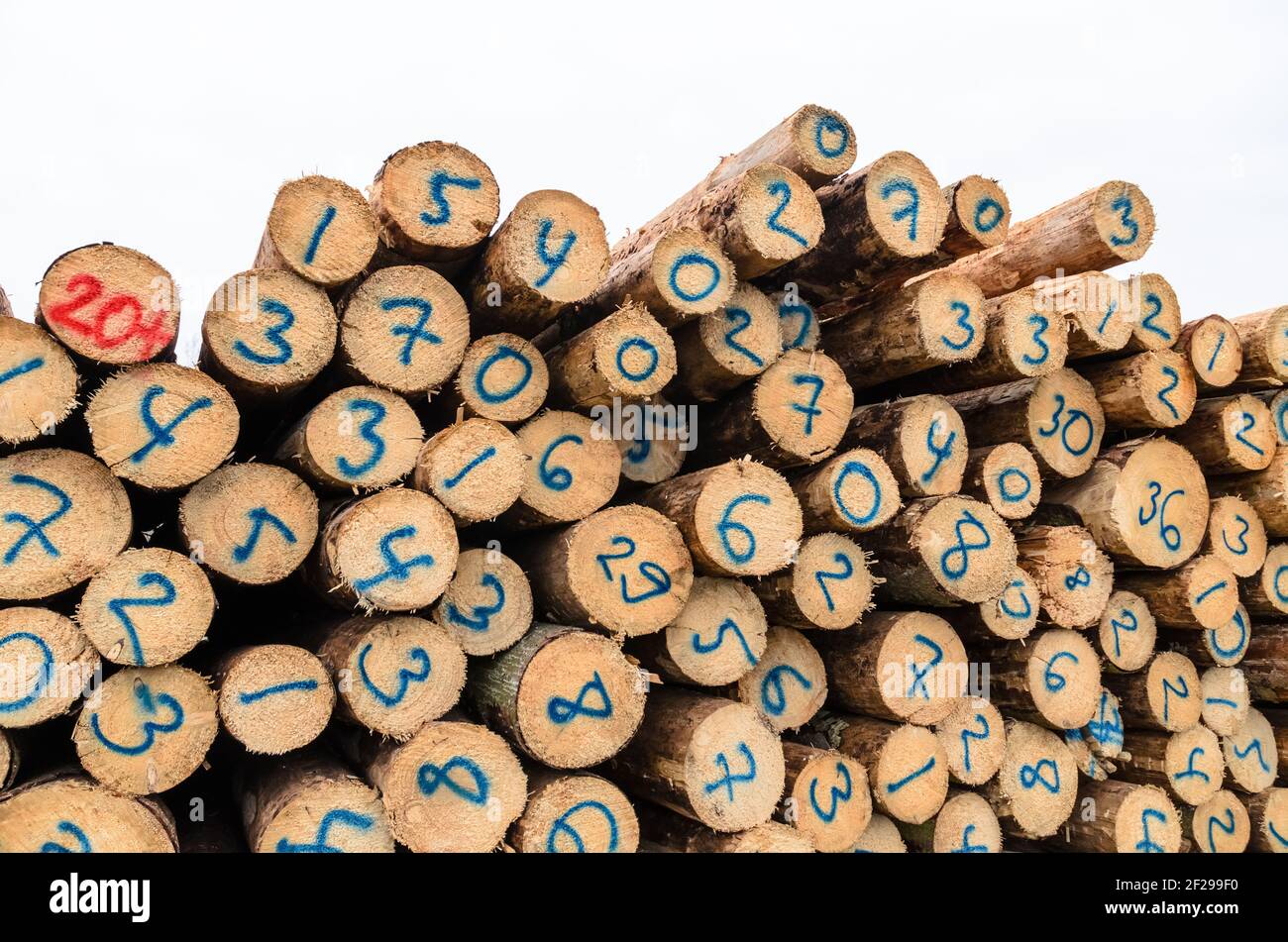 Germany German Cross Section High Resolution Stock Photography and ...