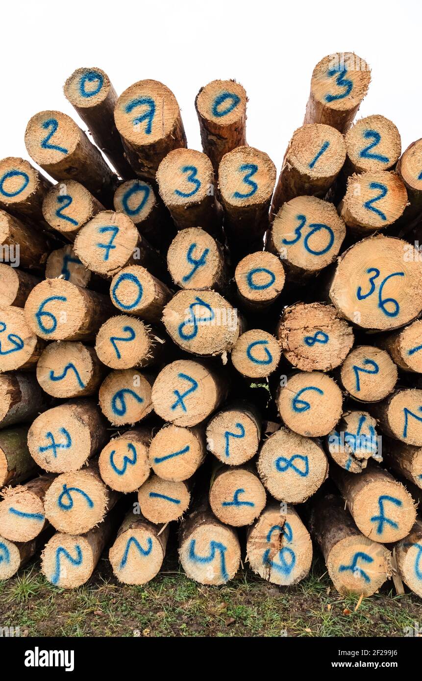 Germany German Cross Section High Resolution Stock Photography and ...