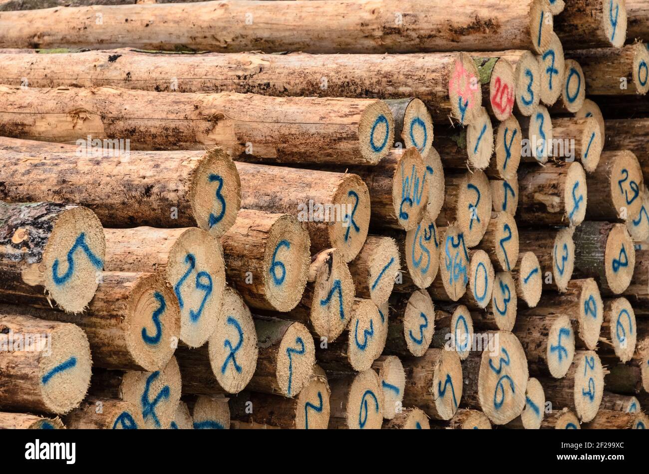 Germany German Cross Section High Resolution Stock Photography and ...