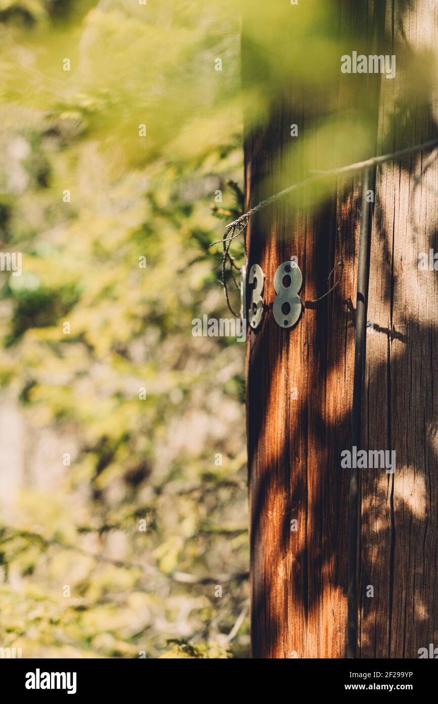Wooden pole with number in the forest Stock Photo - Alamy