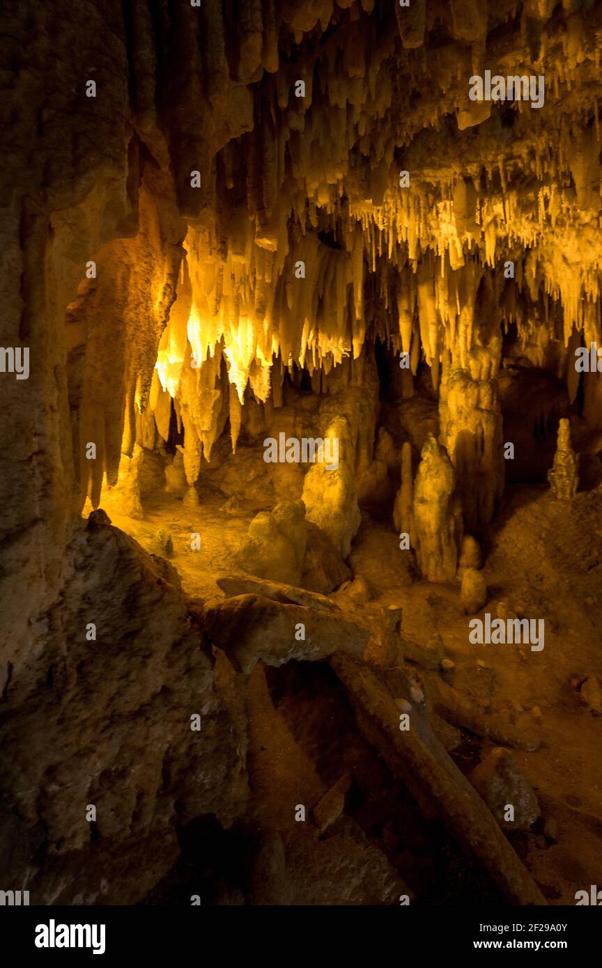 cave of Grotta Bianca in Grotte di Castellana full of stalactites and ...