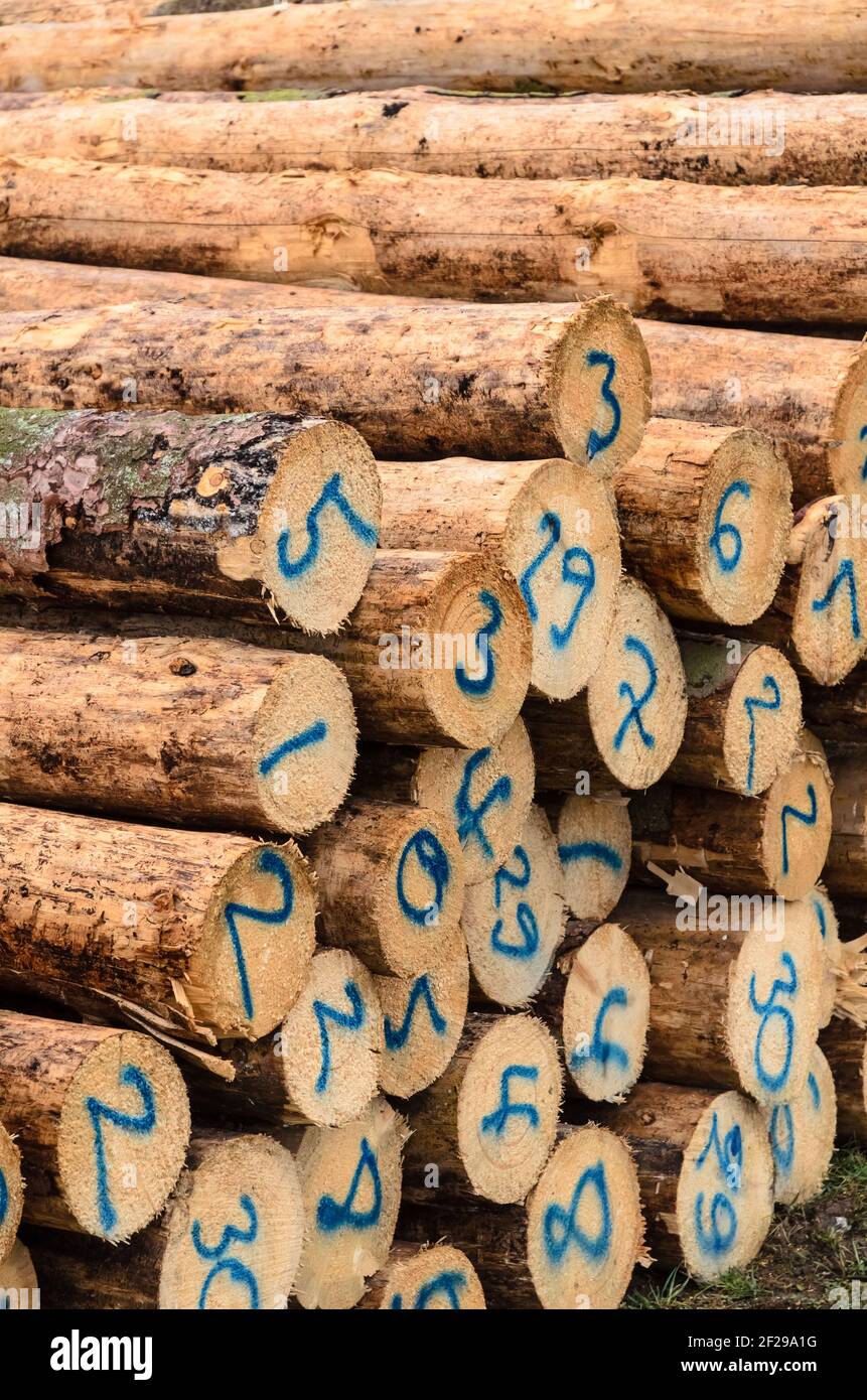 Germany german cross section hi-res stock photography and images - Alamy