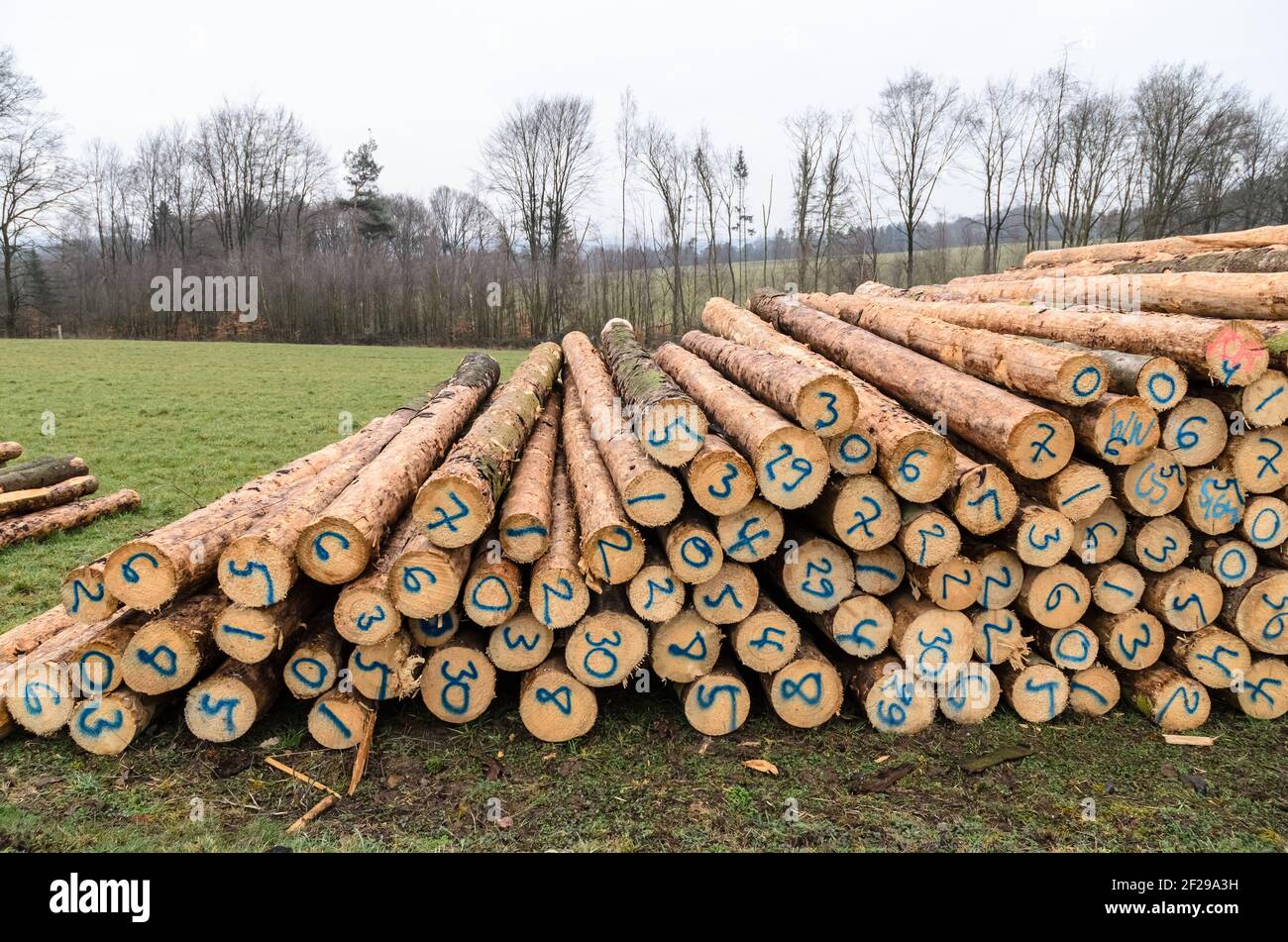 Germany german cross section hi-res stock photography and images - Alamy