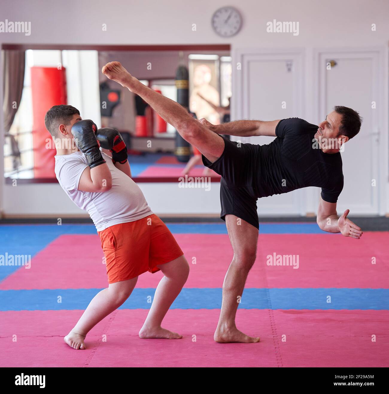 Overweight kickbox fighter sparring with his partner in the gym Stock ...