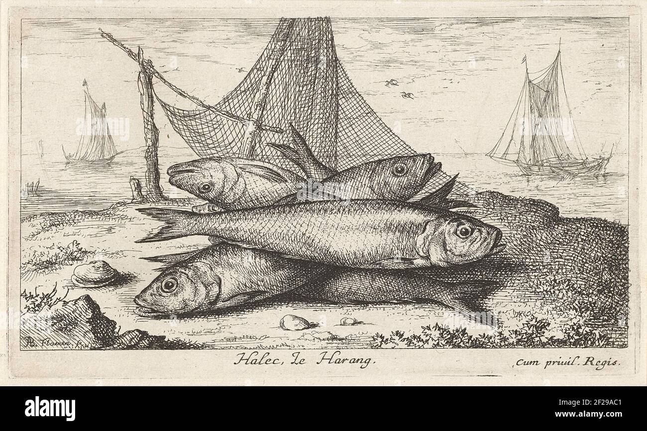 Le harang hi-res stock photography and images - Alamy