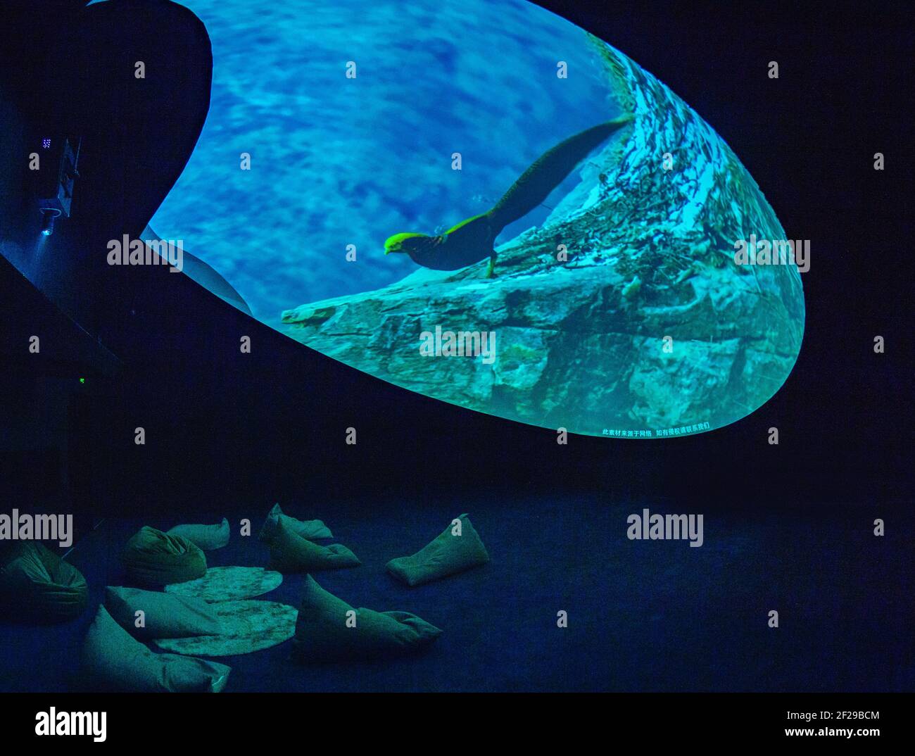 Photo shows the internal view of giant panda-themed museum in Chengdu ...