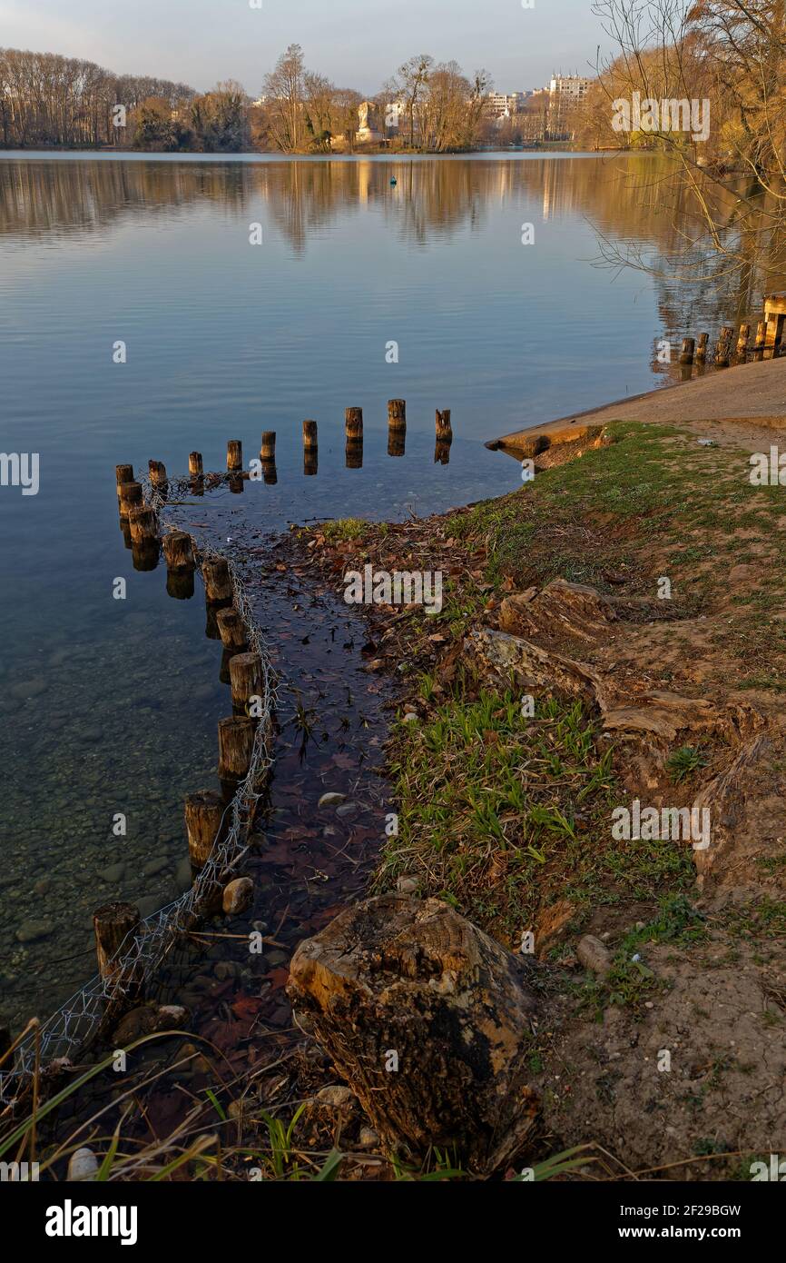 Early morning lights of dawn on the lake shore. Parc de la Tete d'Or is ...