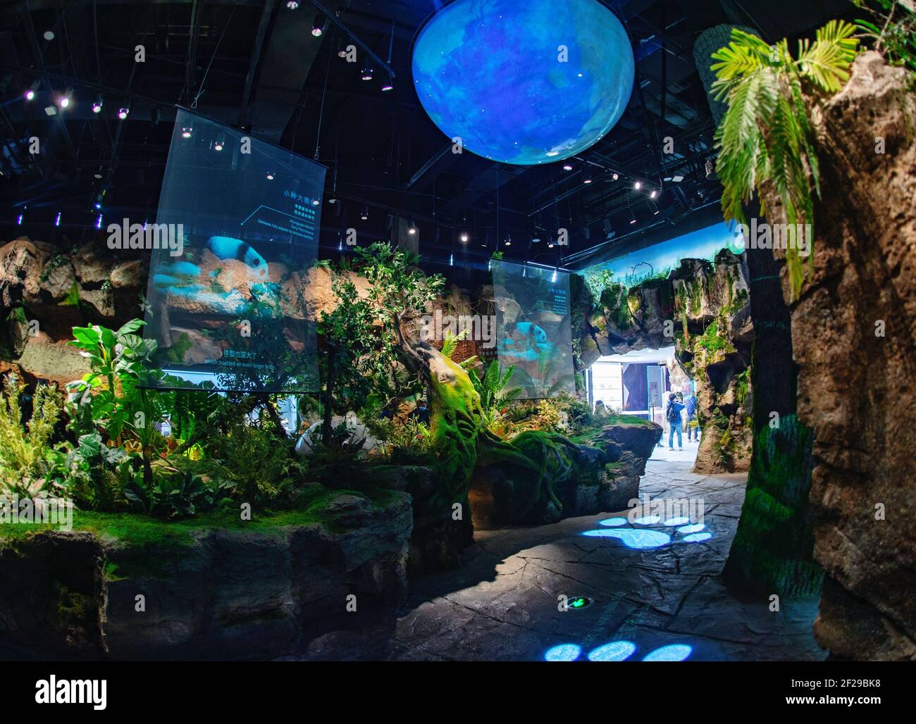 Photo shows the internal view of giant panda-themed museum in Chengdu ...