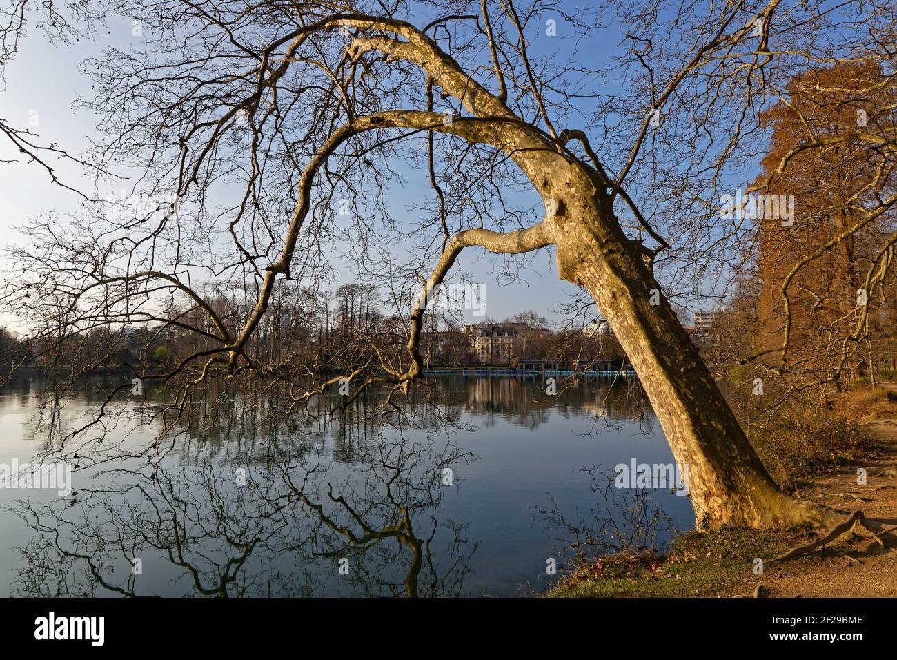Early morning lights of dawn on the lake shore. Parc de la Tete d'Or is ...