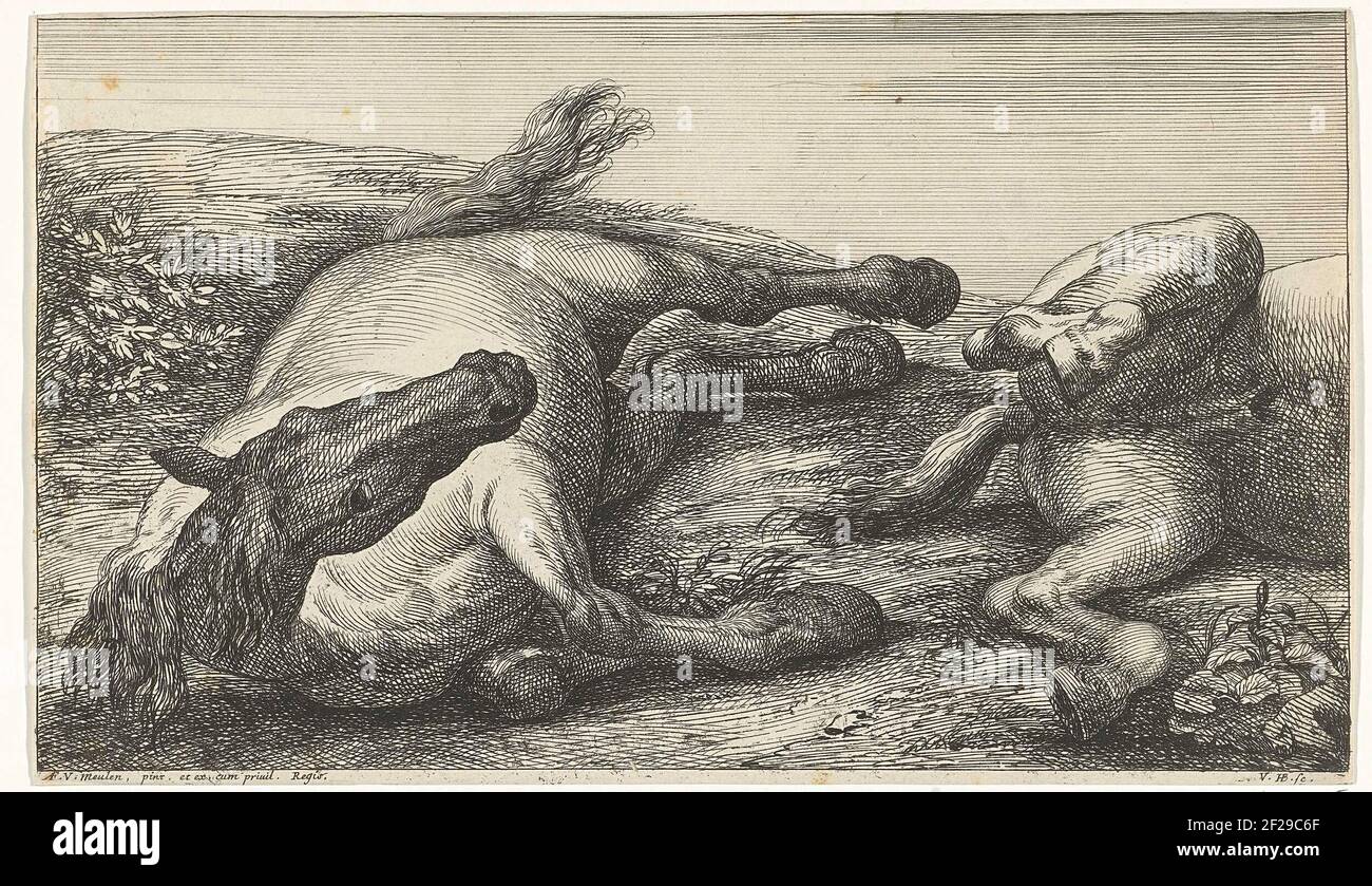 Two fallen horses from which the left-hand view; Solve horses.on The ...