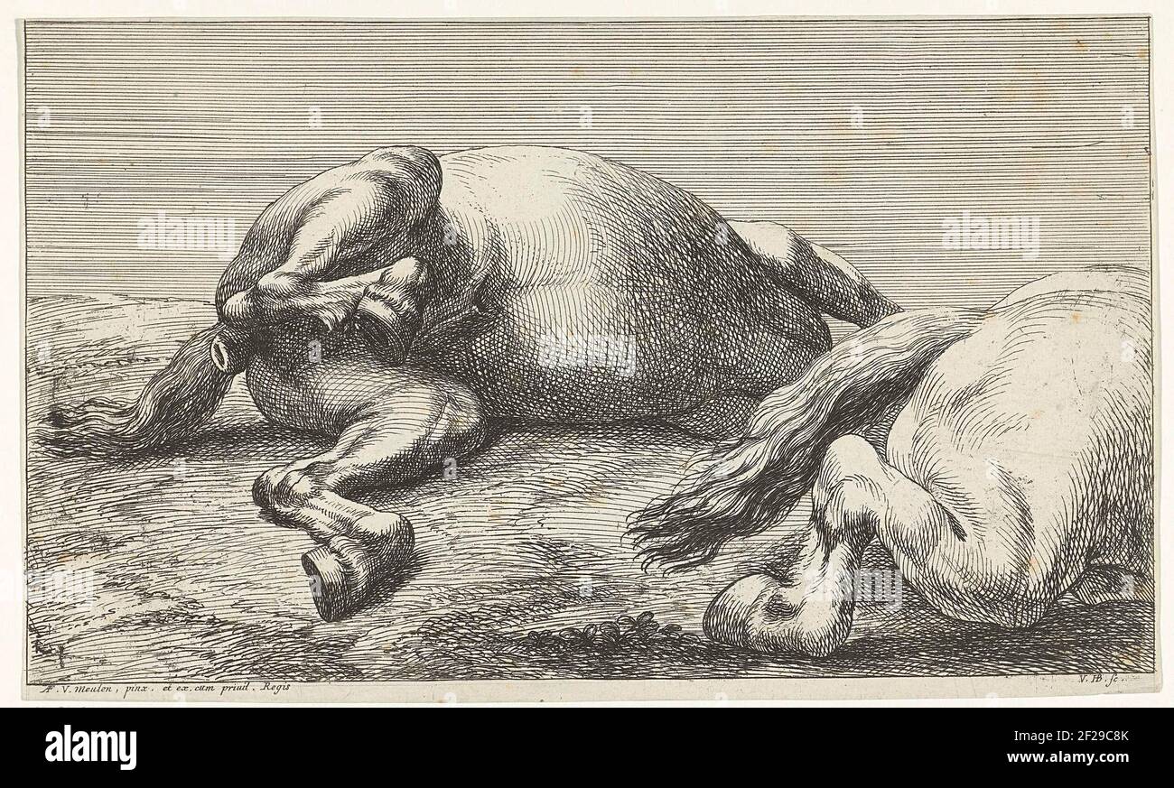 Two fallen horses from which the judge seen from the side; Solve horses ...