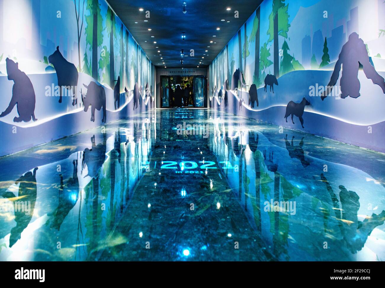 Photo shows the internal view of giant panda-themed museum in Chengdu ...
