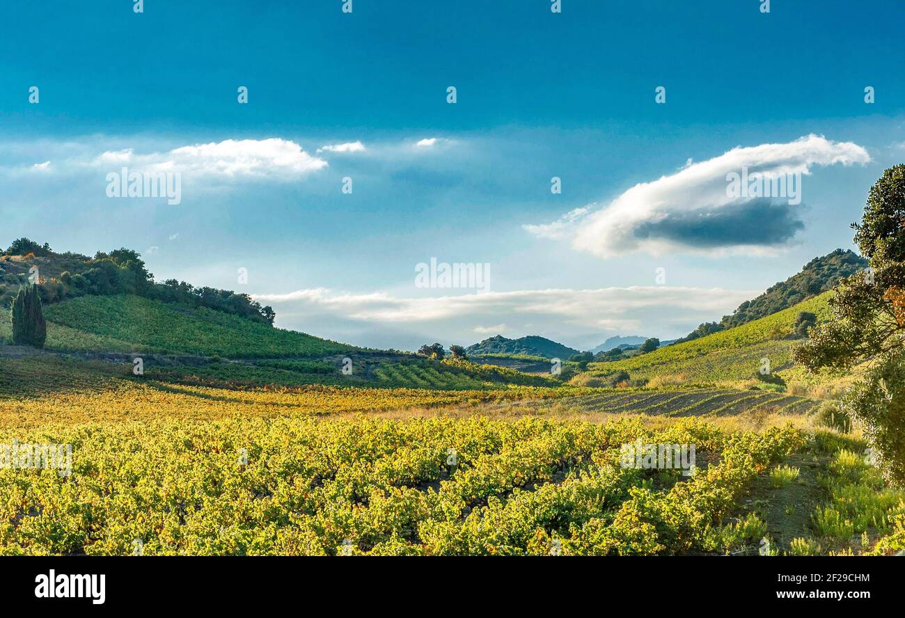 Soils nature hi-res stock photography and images - Alamy