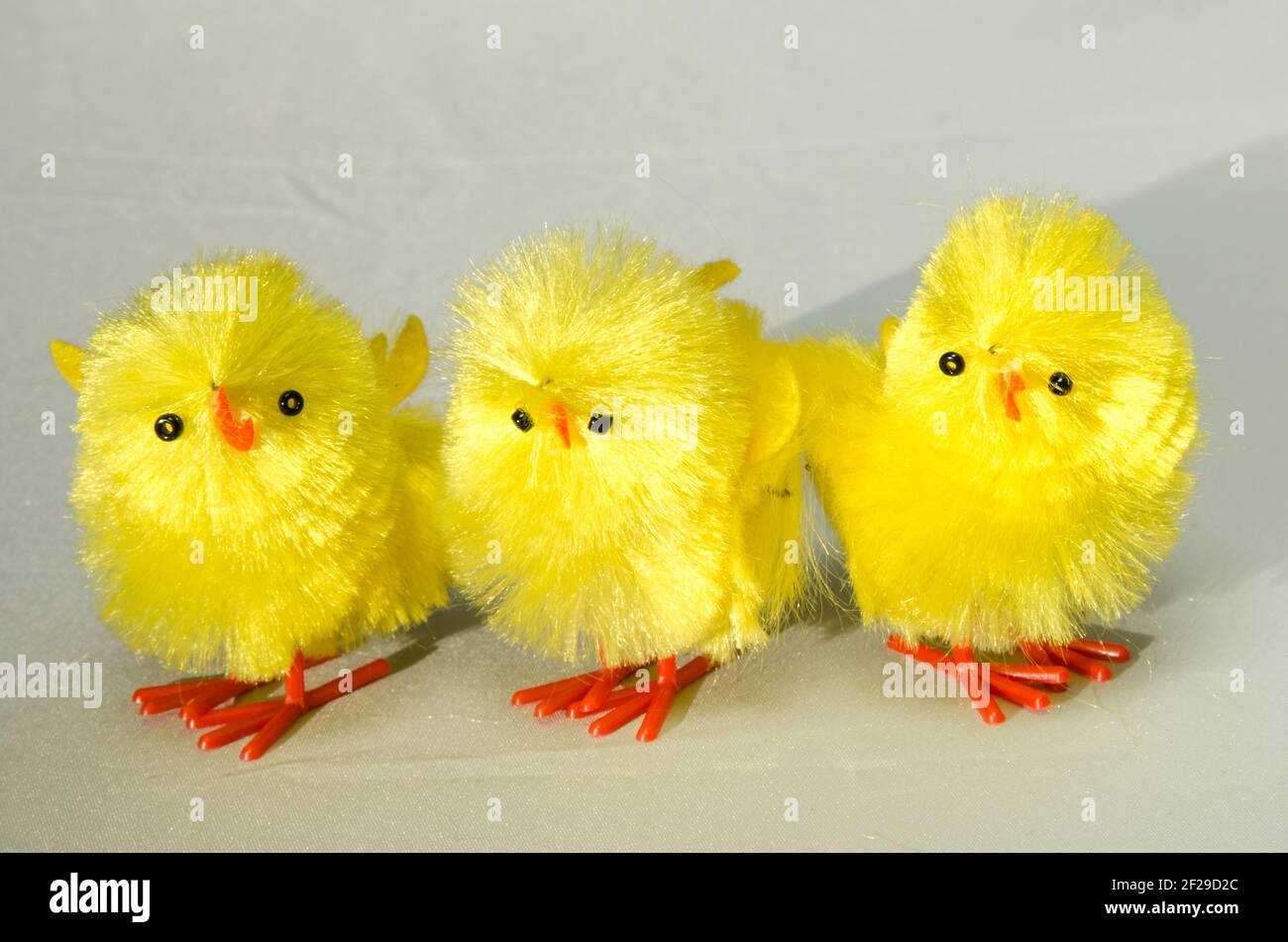 Yellow hen hi-res stock photography and images - Alamy