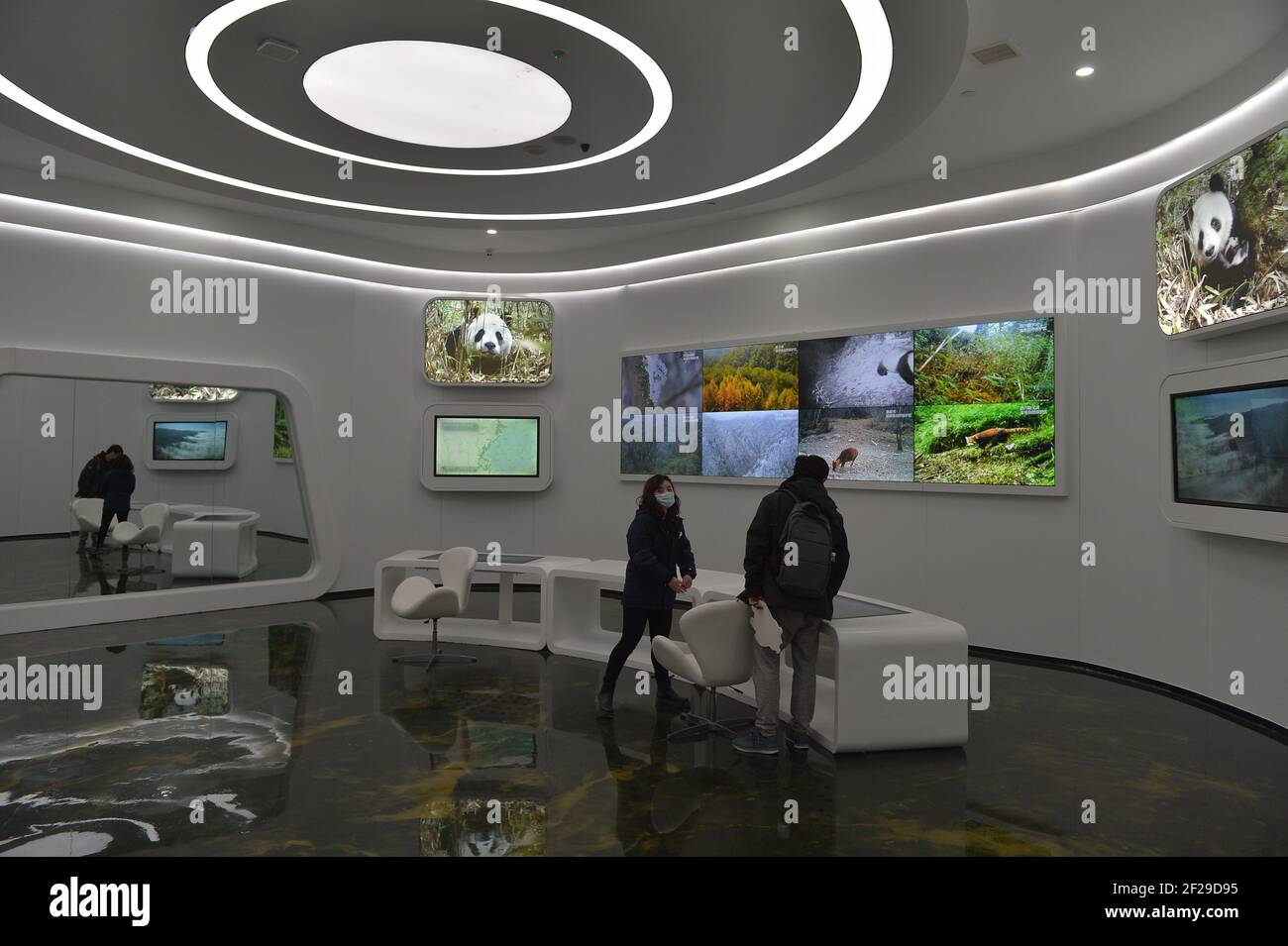 Photo shows the internal view of giant panda-themed museum in Chengdu ...