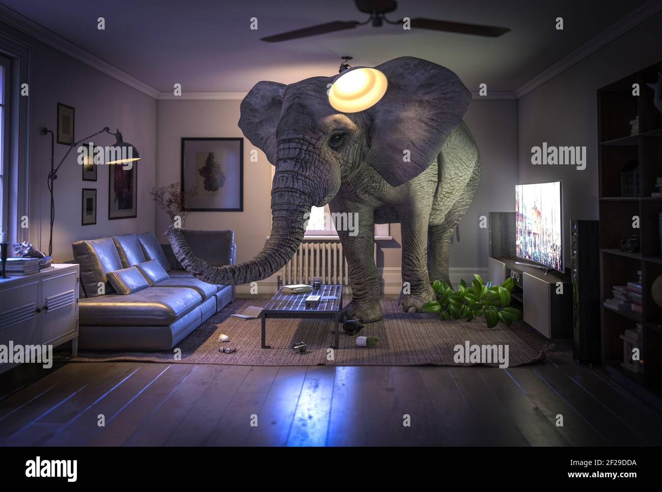 big elephant inside a living room with nobody inside Stock Photo - Alamy