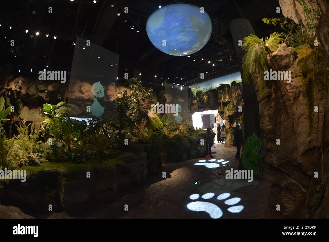 Photo shows the internal view of giant panda-themed museum in Chengdu ...