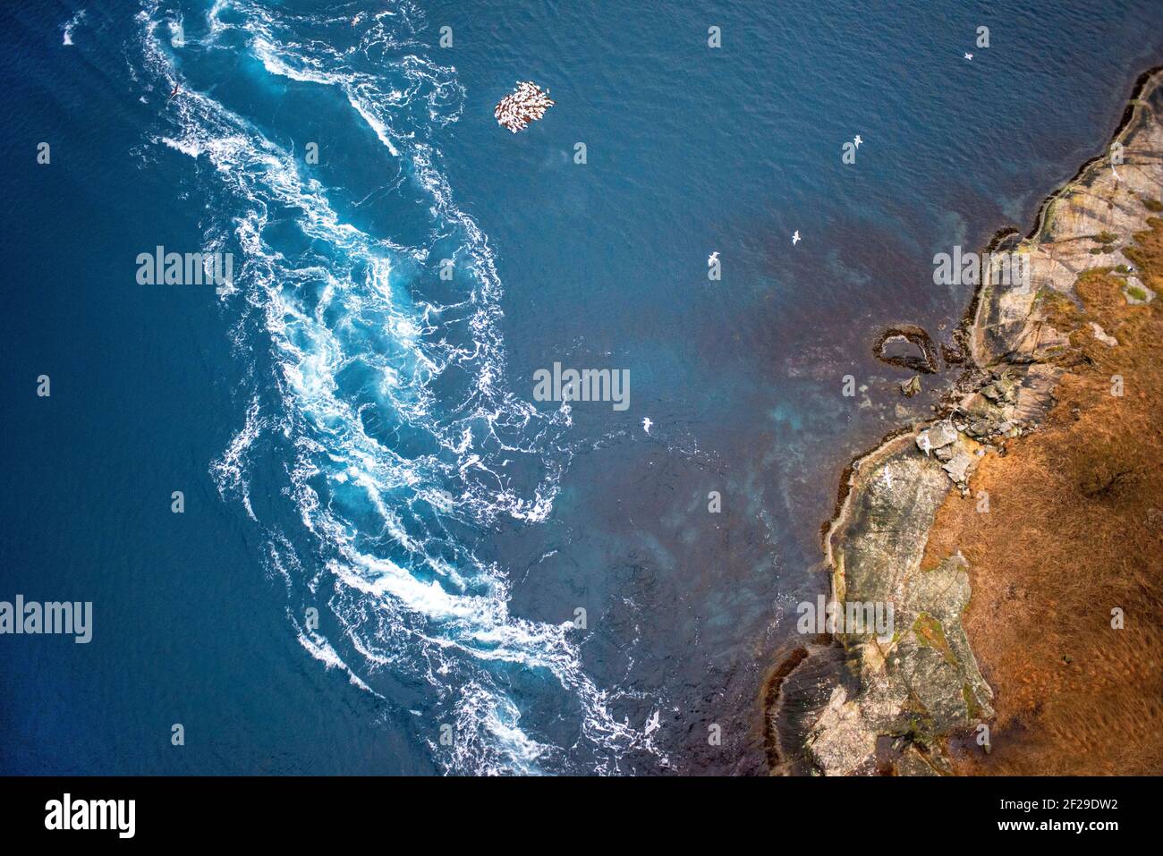 Aerial view of Whirlpools of the maelstrom of Saltstraumen, Nordland ...
